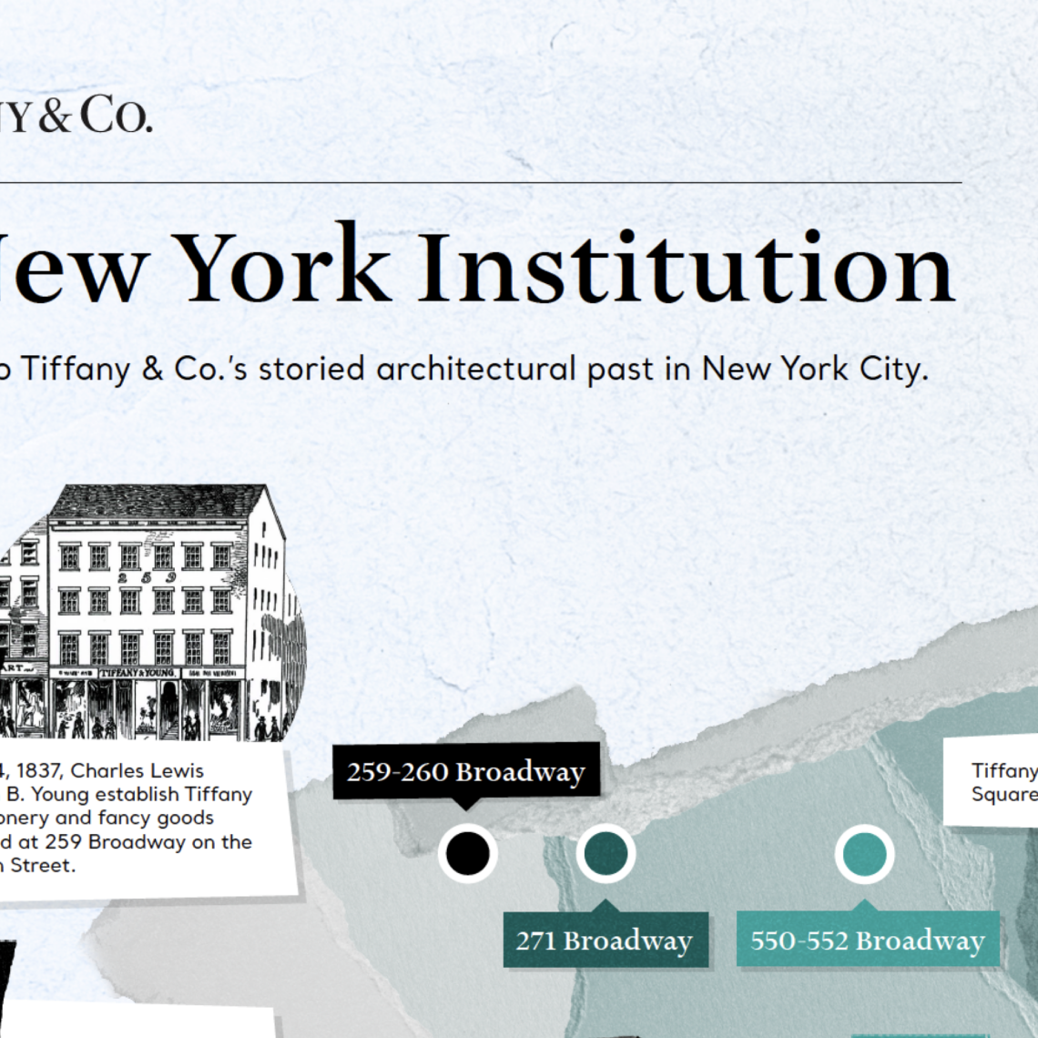 TCO map infographic - Tiffany