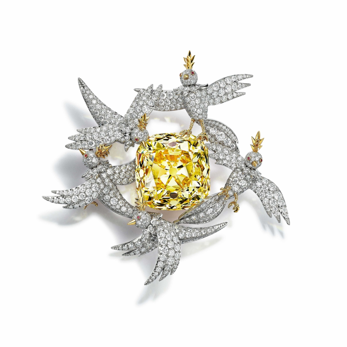 Images & Video Assets - Tiffany