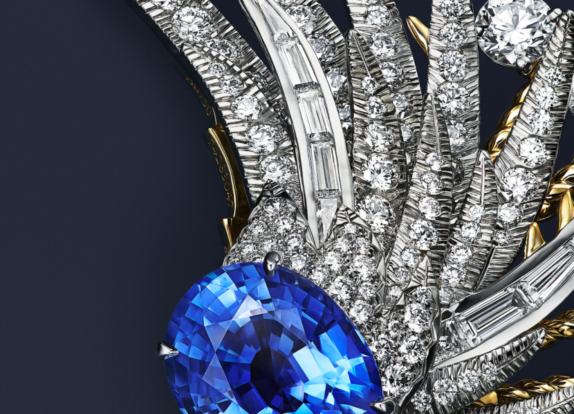 Tiffany & Co. Unveils Blue Book 2024: Tiffany Céleste: A Breathtaking ...