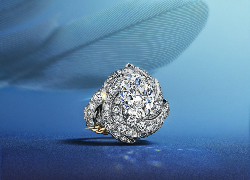 Tiffany & Co. Unveils Blue Book 2024: Tiffany Céleste: A Breathtaking ...