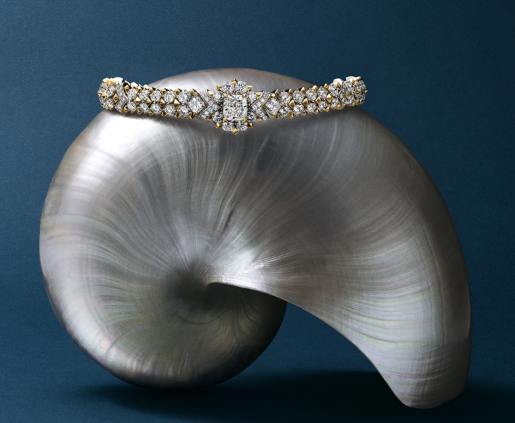 Tiffany & Co. Unveils the Fall Expression of Its Annual High Jewelry ...