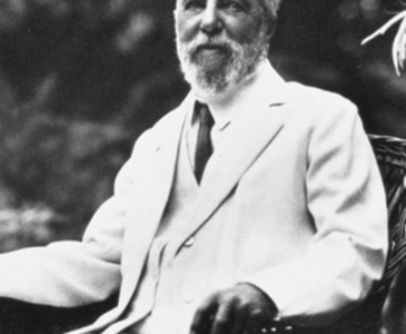 Louis Comfort Tiffany - Tiffany