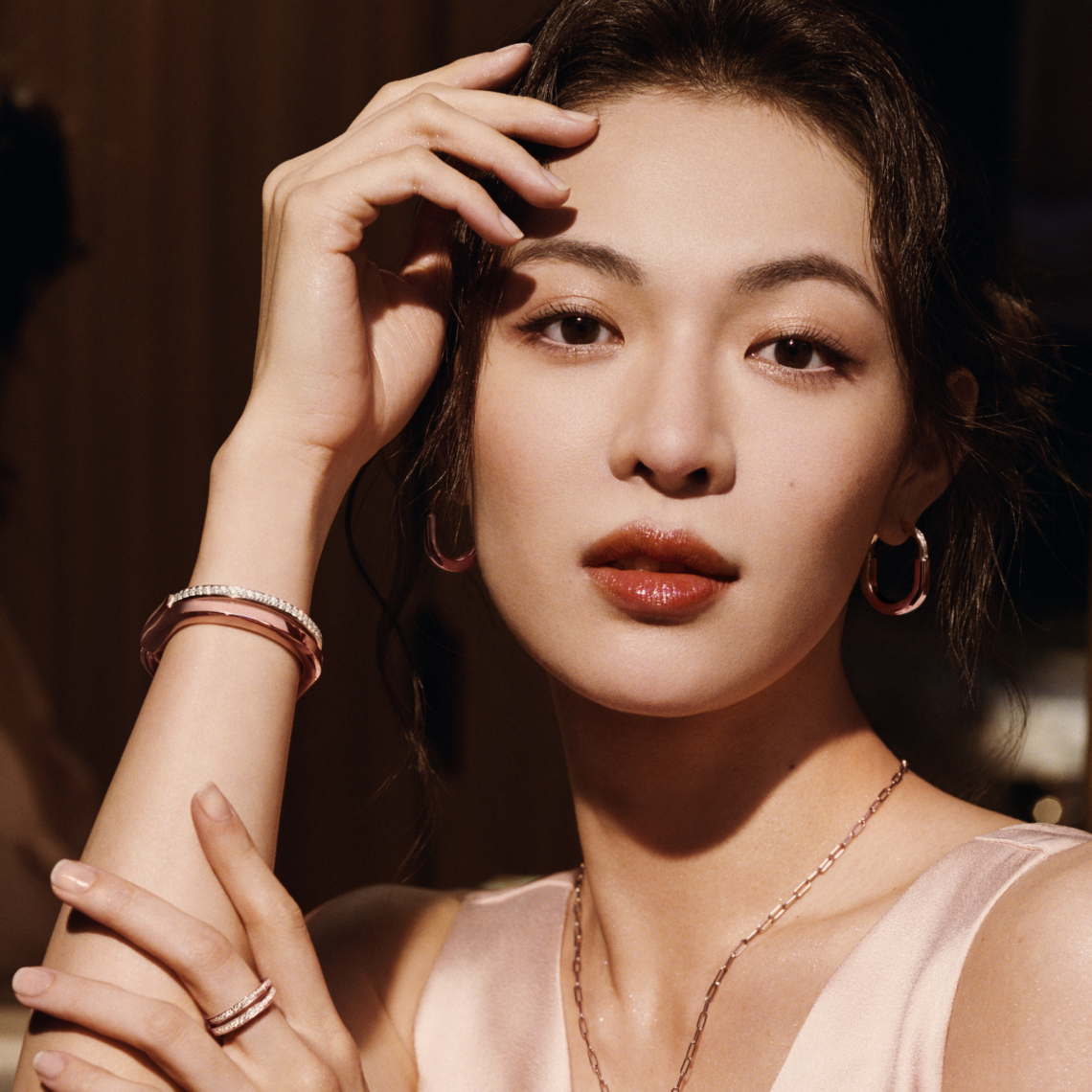 Tiffany & Co. 2023 Holiday Campaign Starring China Brand Ambassador ...