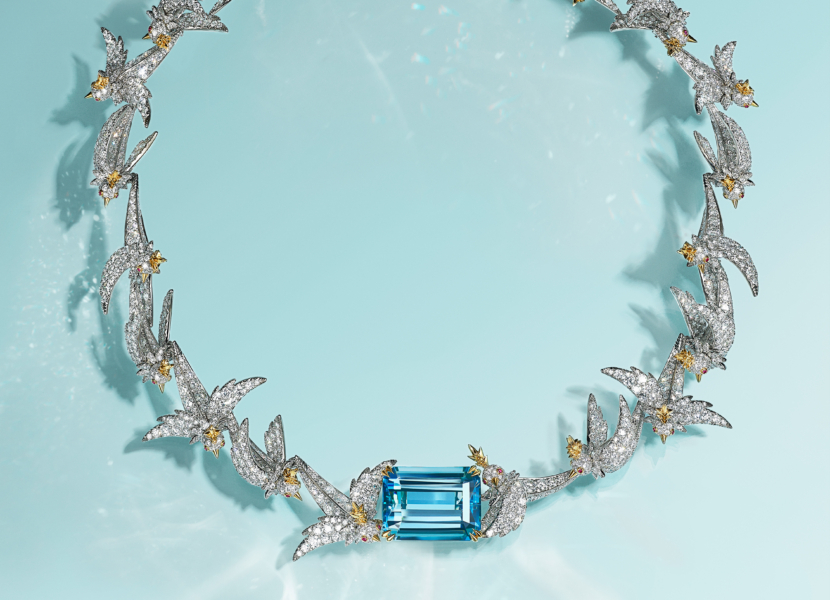 Tiffany & Co. Unveils New High Jewelry Campaign Showcasing Schlumberger ...