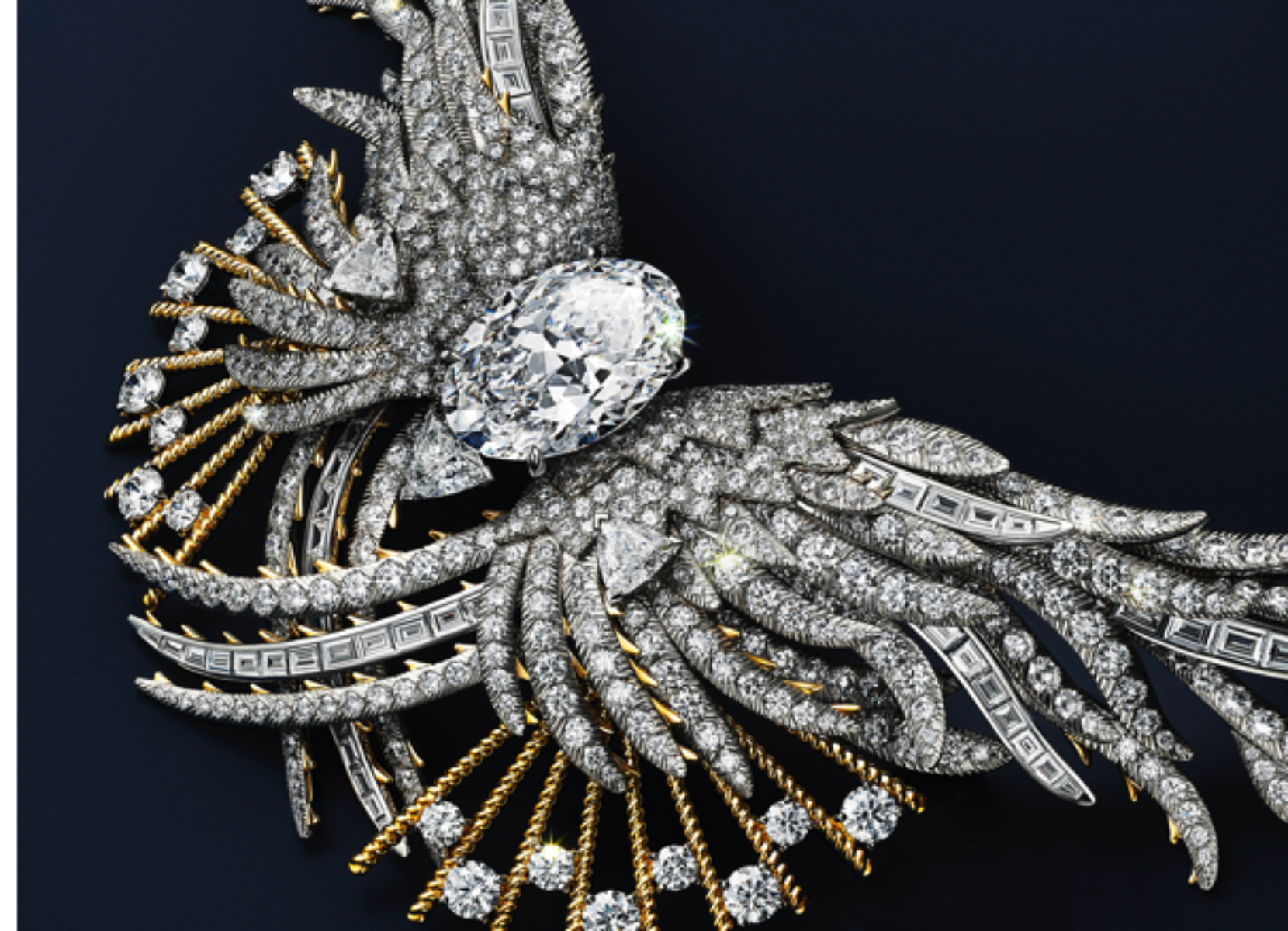 Tiffany & Co. Unveils Blue Book 2024: Tiffany Céleste: A Breathtaking ...
