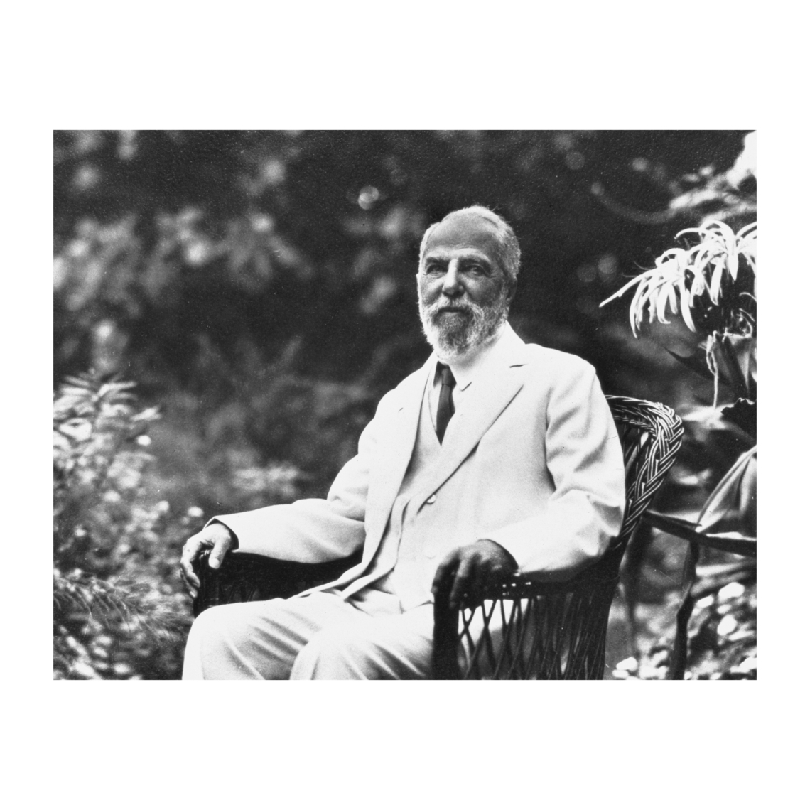 Louis Comfort Tiffany - Tiffany